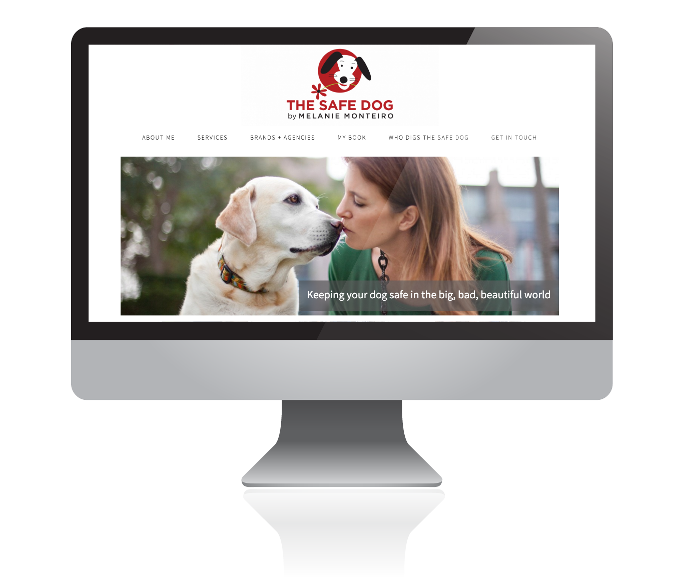 SafeDog_OnScreen-01 - Bauer Studios