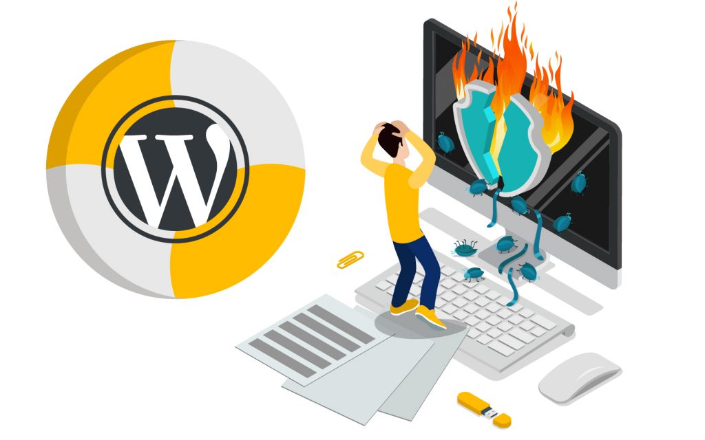 Welcome - Bauer Studios